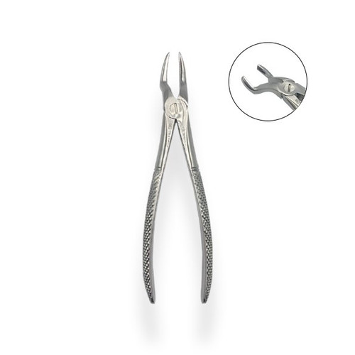 Extracting Forceps, no 16 Lower Molars | Barmaan dental