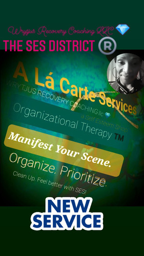 Organizational Therapy ™️ | MySes.com