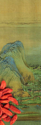 Jade River TCM Shop | TCM Online Store