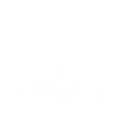Own Solar Panels through RWA tokenization & Solar NFTs | The SolarWise