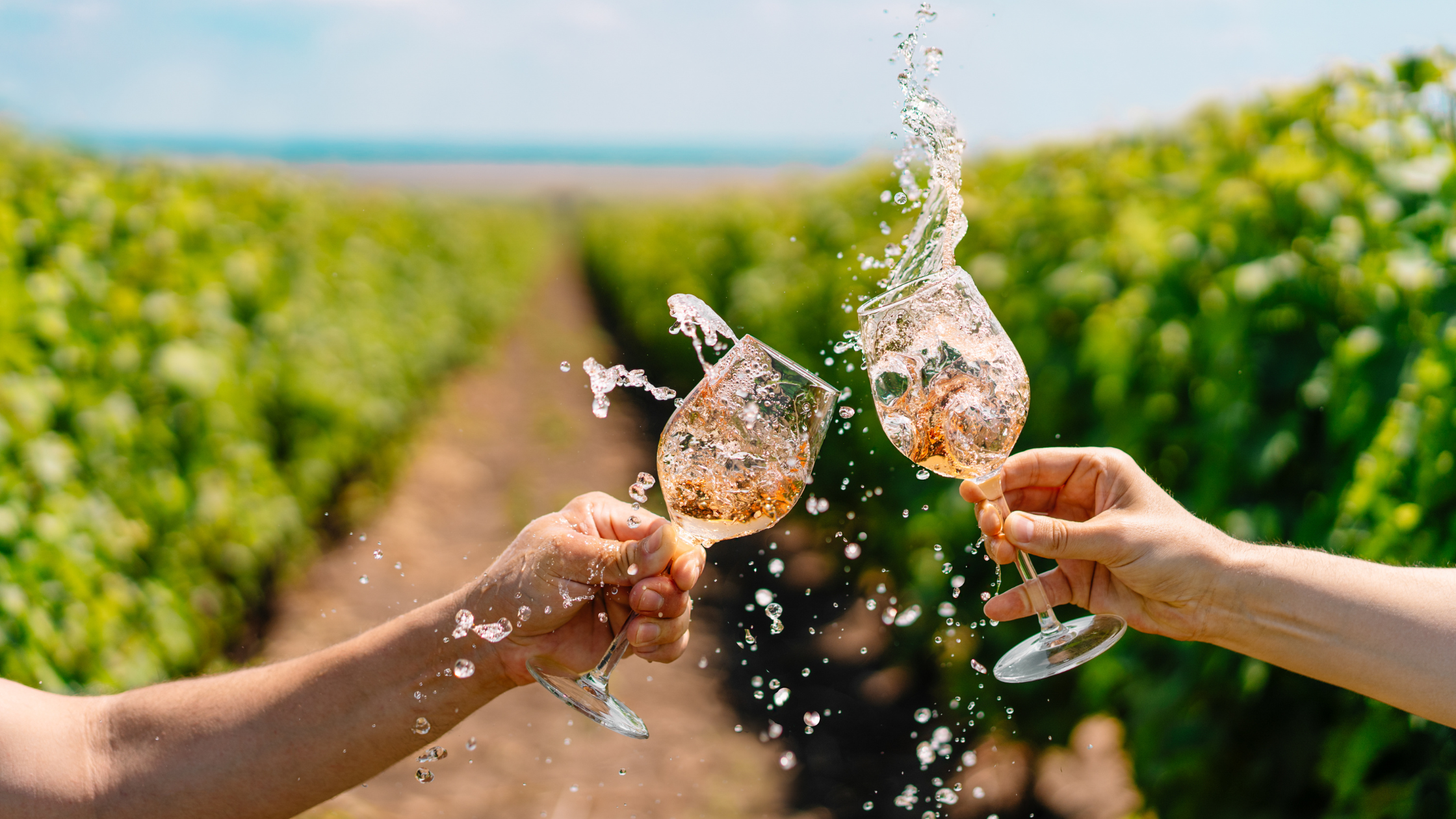 Foggo Road Footsteps | Wine, spirits and food in McLaren Vale