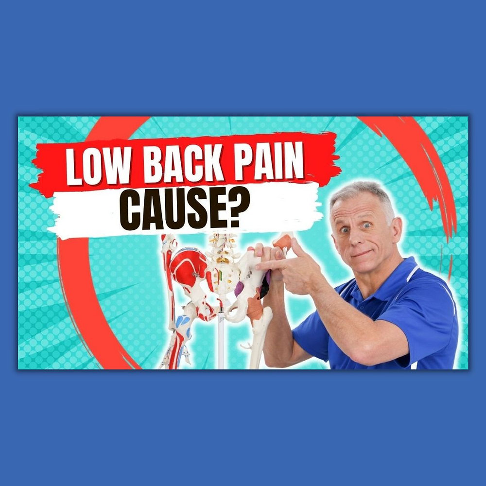 What Causes Low Back Pain In Females what-causes-low-back-pain-in-females