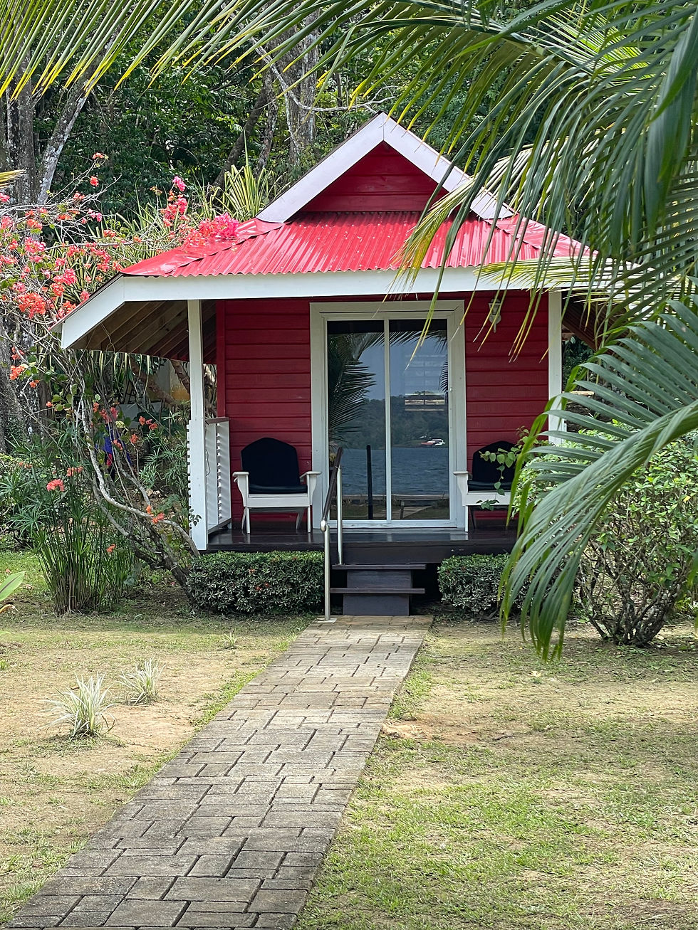 ROOMS | Dolphin Blue Paradise | Bocas del Toro ROOMS | Dolphin Blue Paradise | Bocas del Toro