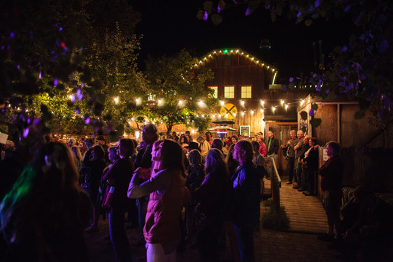 Sisters Folk Festival 2024 | Sisters, Oregon