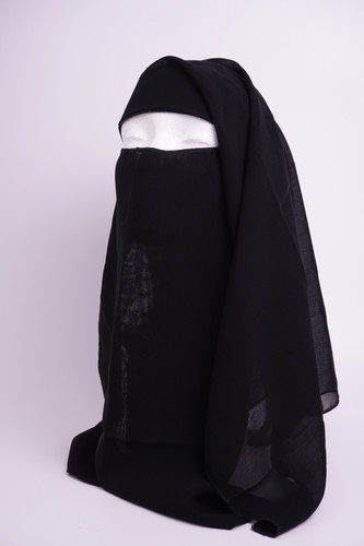 Niqab ( 6 ) Embroidered | Darul Kutub