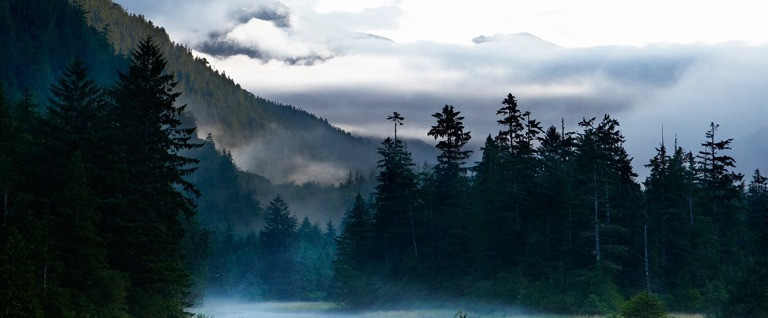 Caroline-burnside | California | California Mental Health