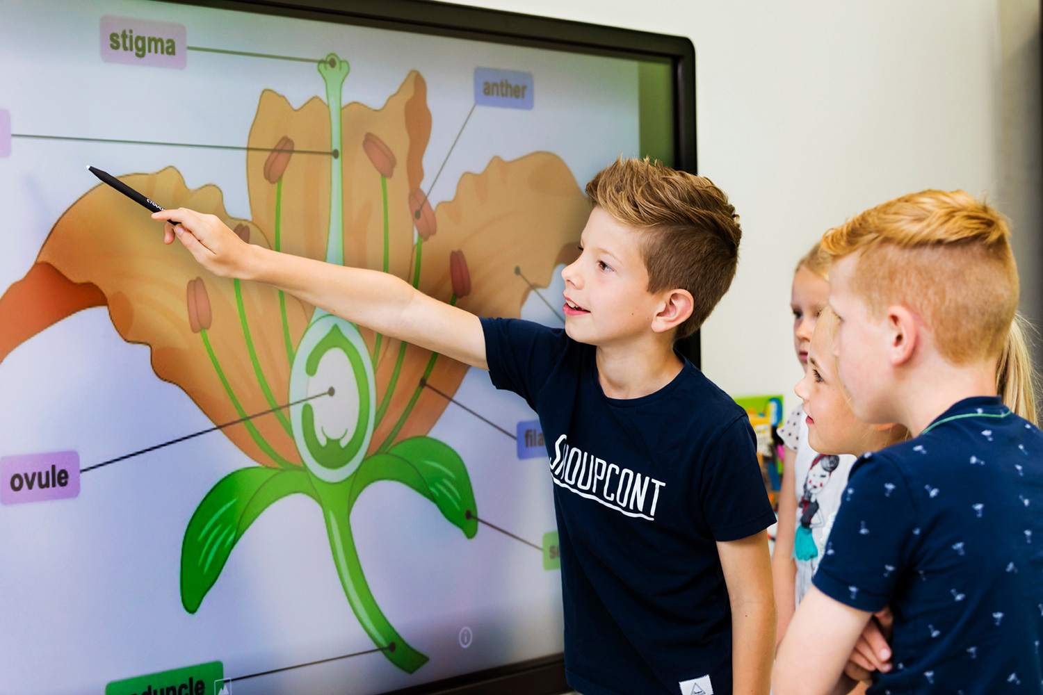 CTOUCH Interactive Touchscreens for Education | Kathea | South Africa