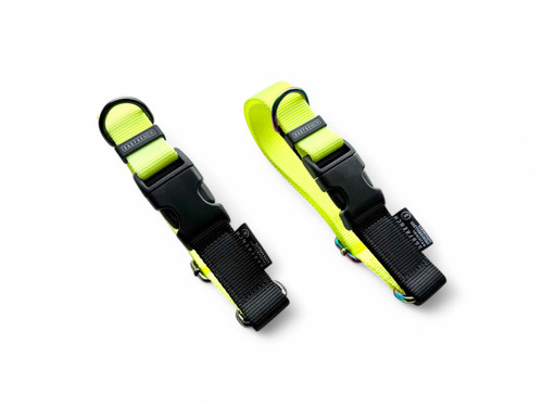 ONE-TOUCH Collar/NEONイエロー | B&BFRENCH