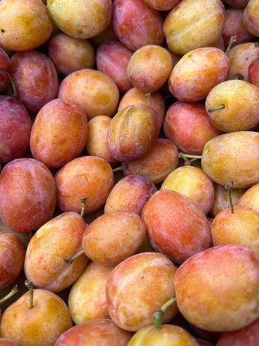 Victoria plums 1kg | DLR Produce