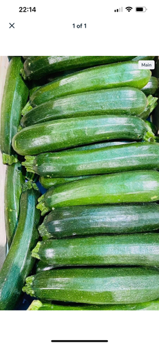 Single Courgette (large) | DLR Produce