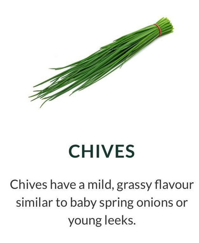 Chives 100g | DLR Produce