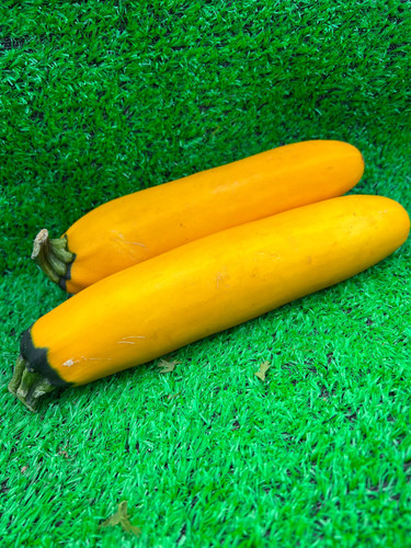 Yellow courgette 500g | DLR Produce