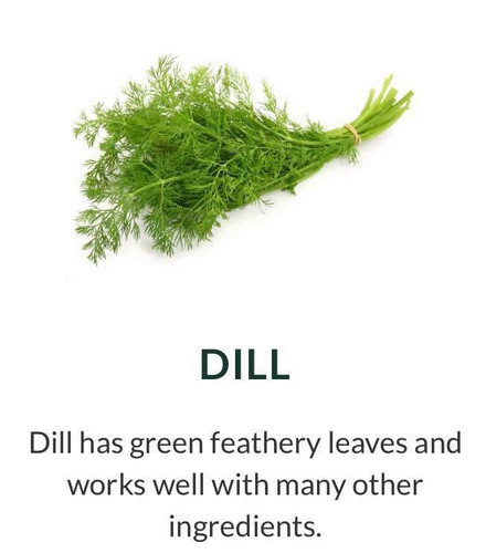 Dill 100g | DLR Produce