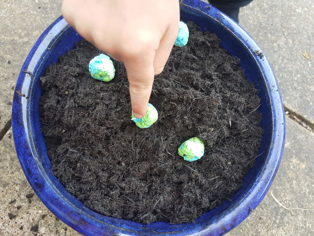 Earth Day seed bombs