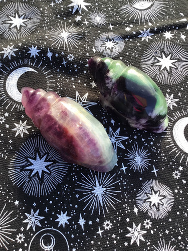 Fluorite Conch Shell | Twin Flame LI