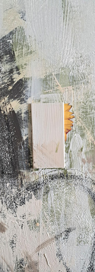 Portfolio | Alexandra Peterken