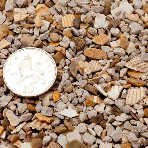 Oyster Shell Grit 100g Animal Feed Grade | clearoff-minerals