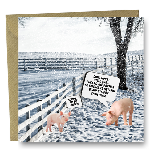 Cold Pigs (RCX030 | Pack of 6) | Redrakoon