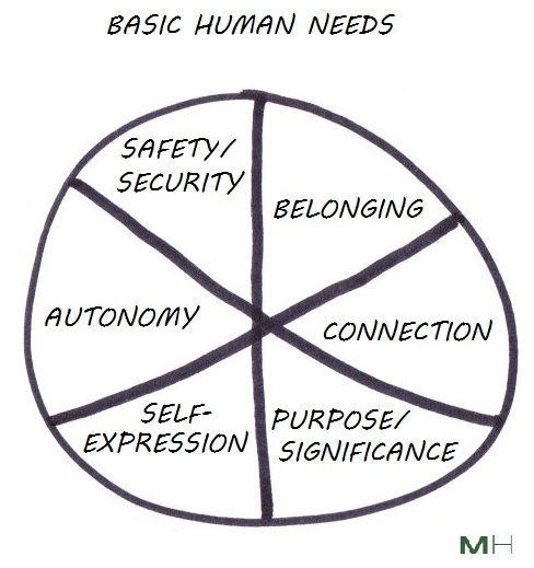 Needs, Values, and Strategies