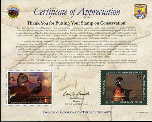 2020 RW87 Full Color, small flaw Duck Stamp Souvenir Card | TR Duck ...