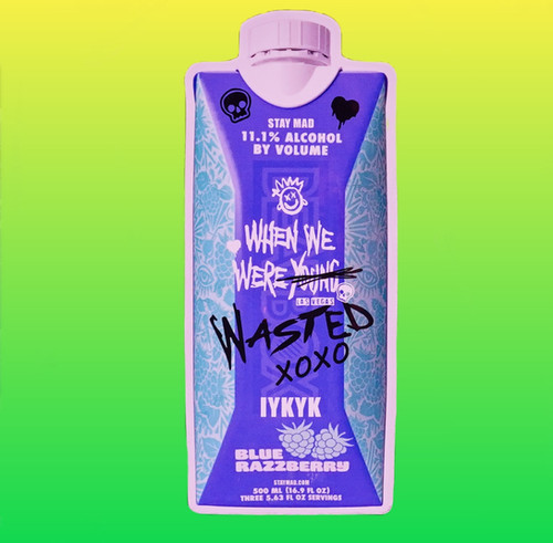 When We Were Wasted Sticker | Stay Mad