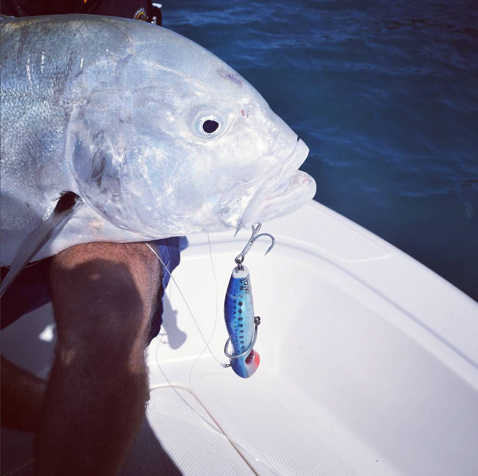 Guided Fishing Tour | Mackay, QLD | Mackay Fly & Sportfishing | Home