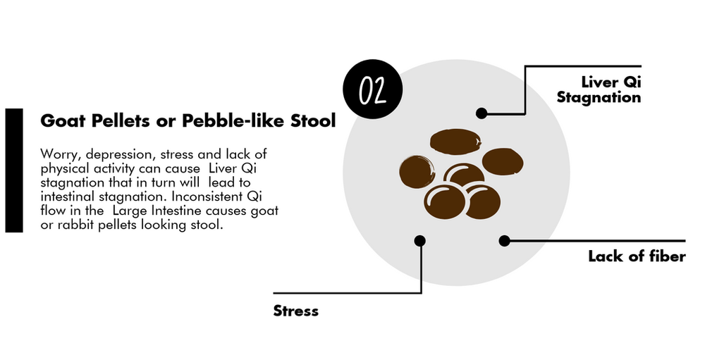 Lets talk about POOP!