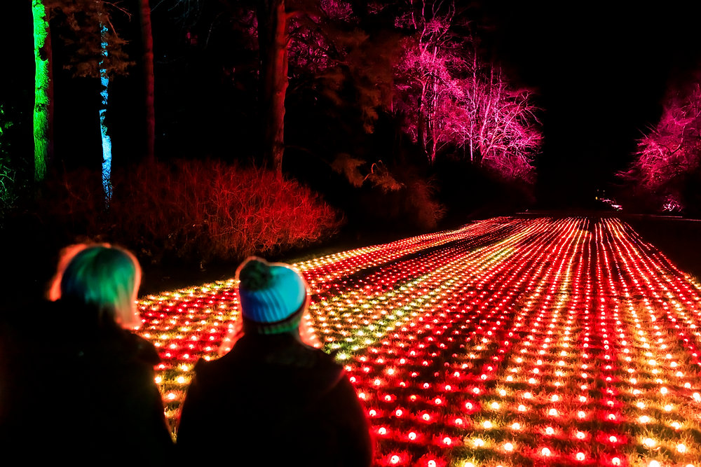Christmas at Stourhead, 2025