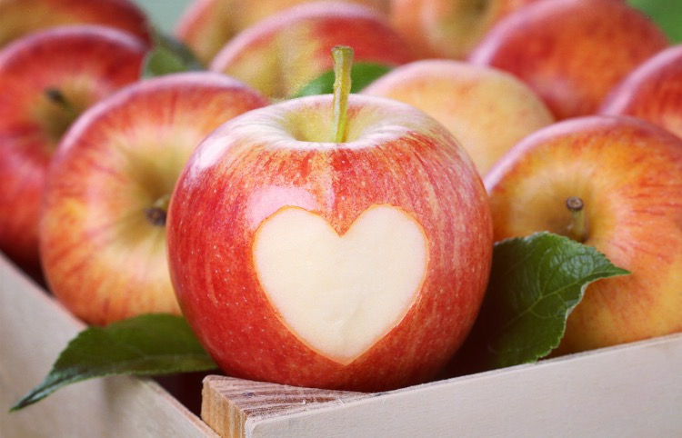 Somerset Apple Day - Four Thoughts