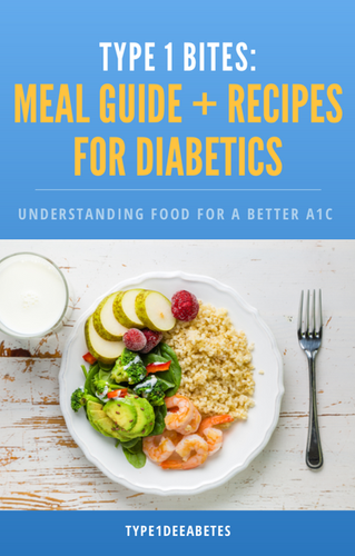 Type 1 Bites: Meal Guide + Recipes for Diabetics | Typeonediabetes