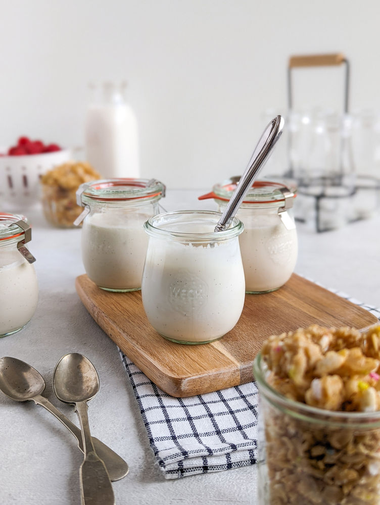 Thick and Creamy Vanilla Bean Almond Yogurt (Dairy Free and Lightly Sweet)