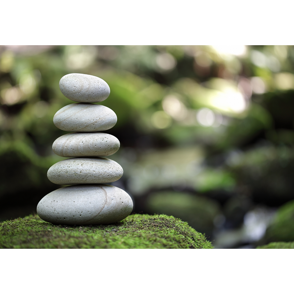 "Spotting the Signals: A Guide to Navigating Nervous System Dysregulation"