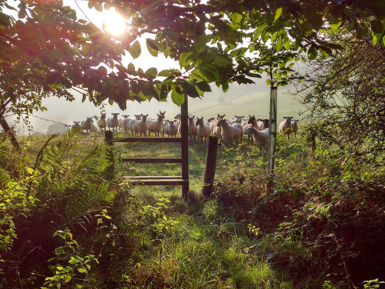 Mortimer Trail | Walking Route | Wheely Wonderful Cycling