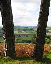 Mortimer Trail | Walking Route | Wheely Wonderful Cycling