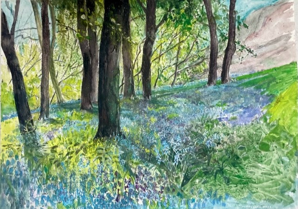 David Pollock Artist | Charlbury | Latest Additions by David Pollock