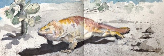 David's Sketch Book | Charlbury | David Pollock Artist