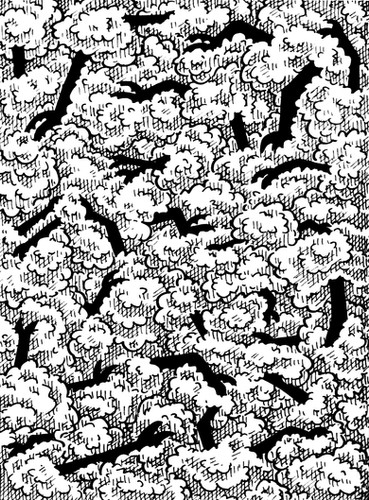 Movimiento - Inopia | La Panarteria