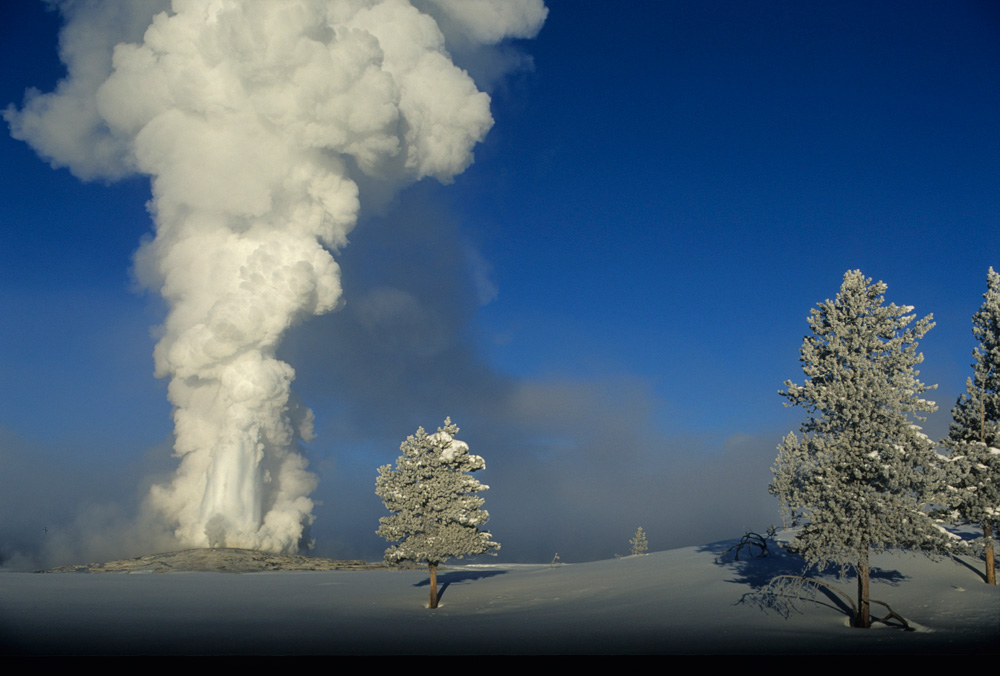 Norbert Rosing | Photography | Fotografie