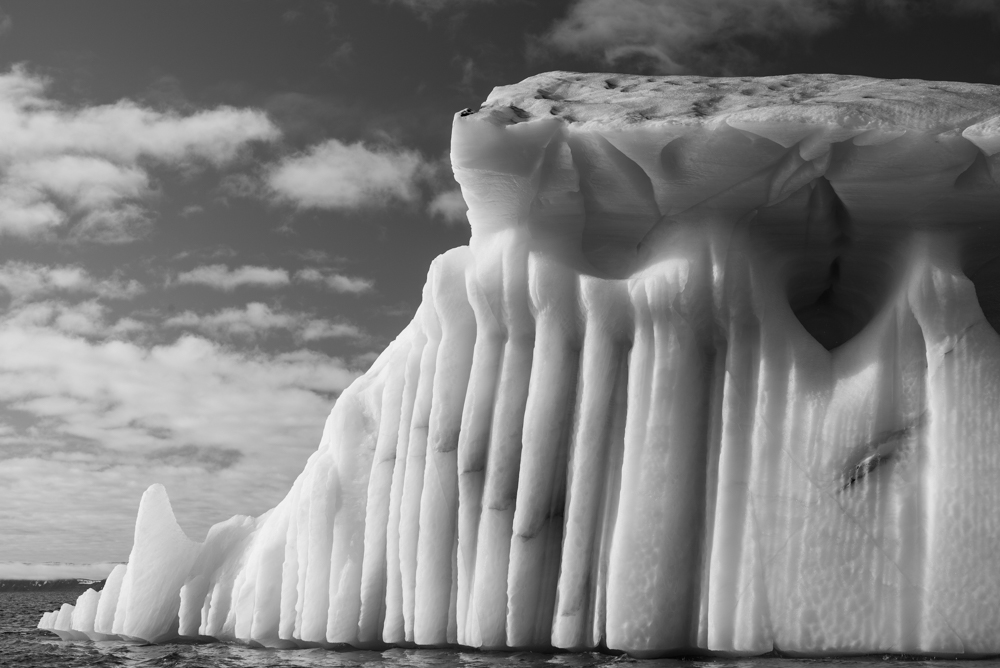 Norbert Rosing | Photography | Fotografie