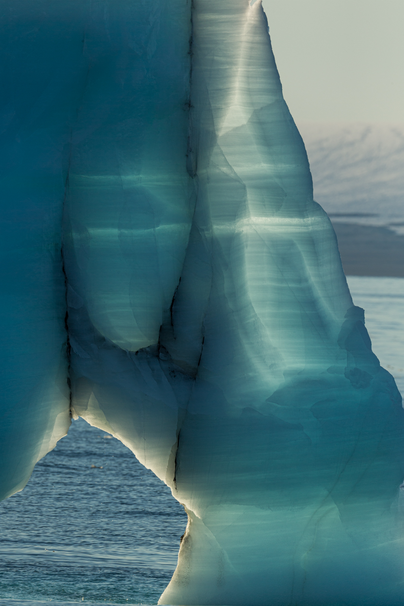 Norbert Rosing | Photography | Fotografie