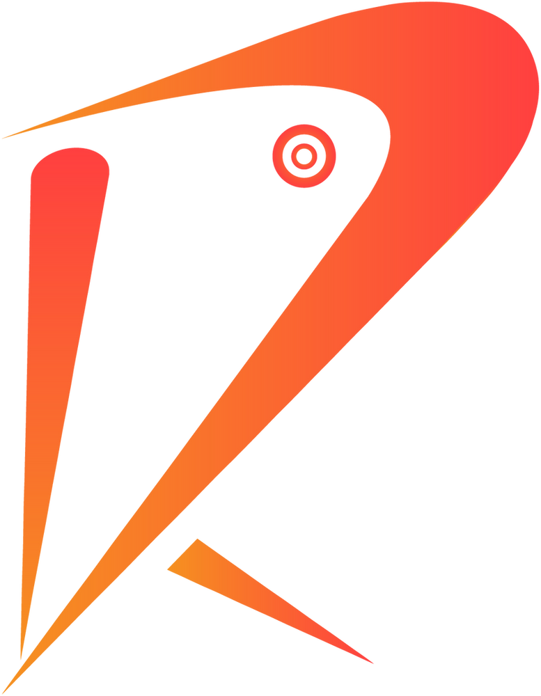 Rockman Fitness: A year in review