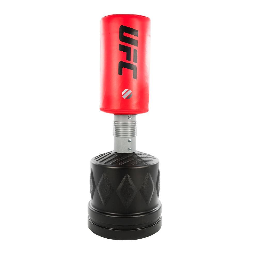 FREE STANDING BAG | UFCequipment
