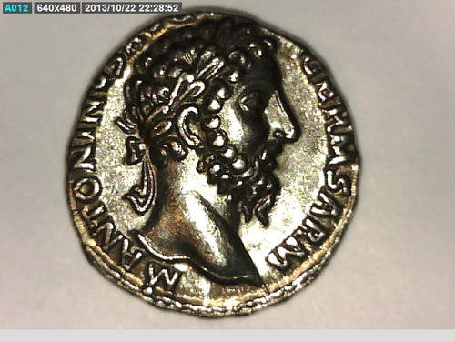 Roman Emperor, Elephant Denarius Coin | 2rooks Ancient coins
