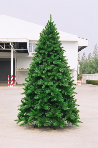 10ft Vienna Spruce Christmas Tree Green 3.05m | My Site