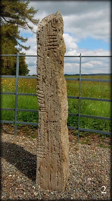 Ogham the Sacred Celtic Tree Alphabet
