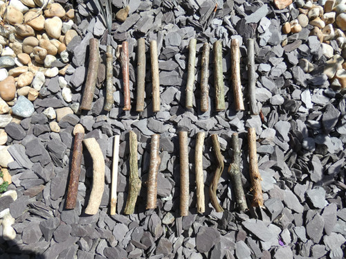 Make your own Celtic Ogham Staves set of 20 blank British Woods DIY ...