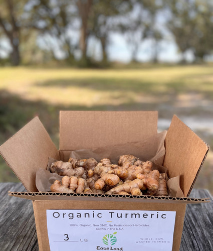 3 Pound Box Organic Turmeric | Ease Land Organic