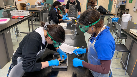 Christian School | Fraser Valley Adventist Academy | Langley Township