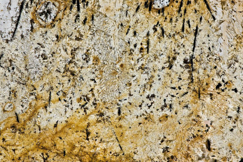 Delicatus Gold | Traxtone