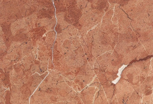 Rosa Favara | Traxtone